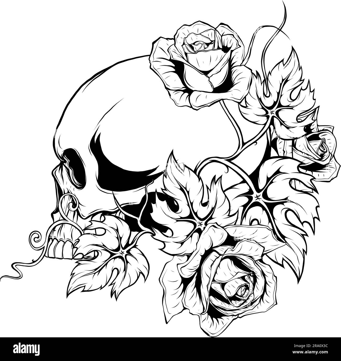 vector illustration of outline human skull design Stock Vector Image ...