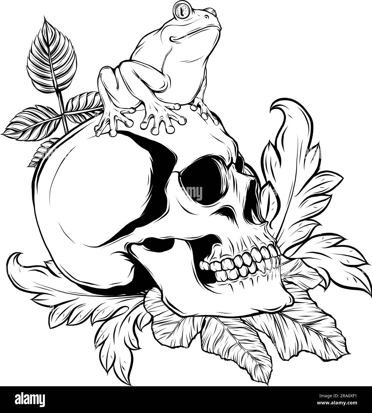 vector illustration of outline human skull design Stock Vector Image ...