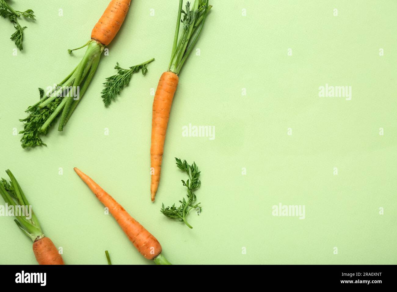 Fresh carrots on light green background Stock Photo - Alamy