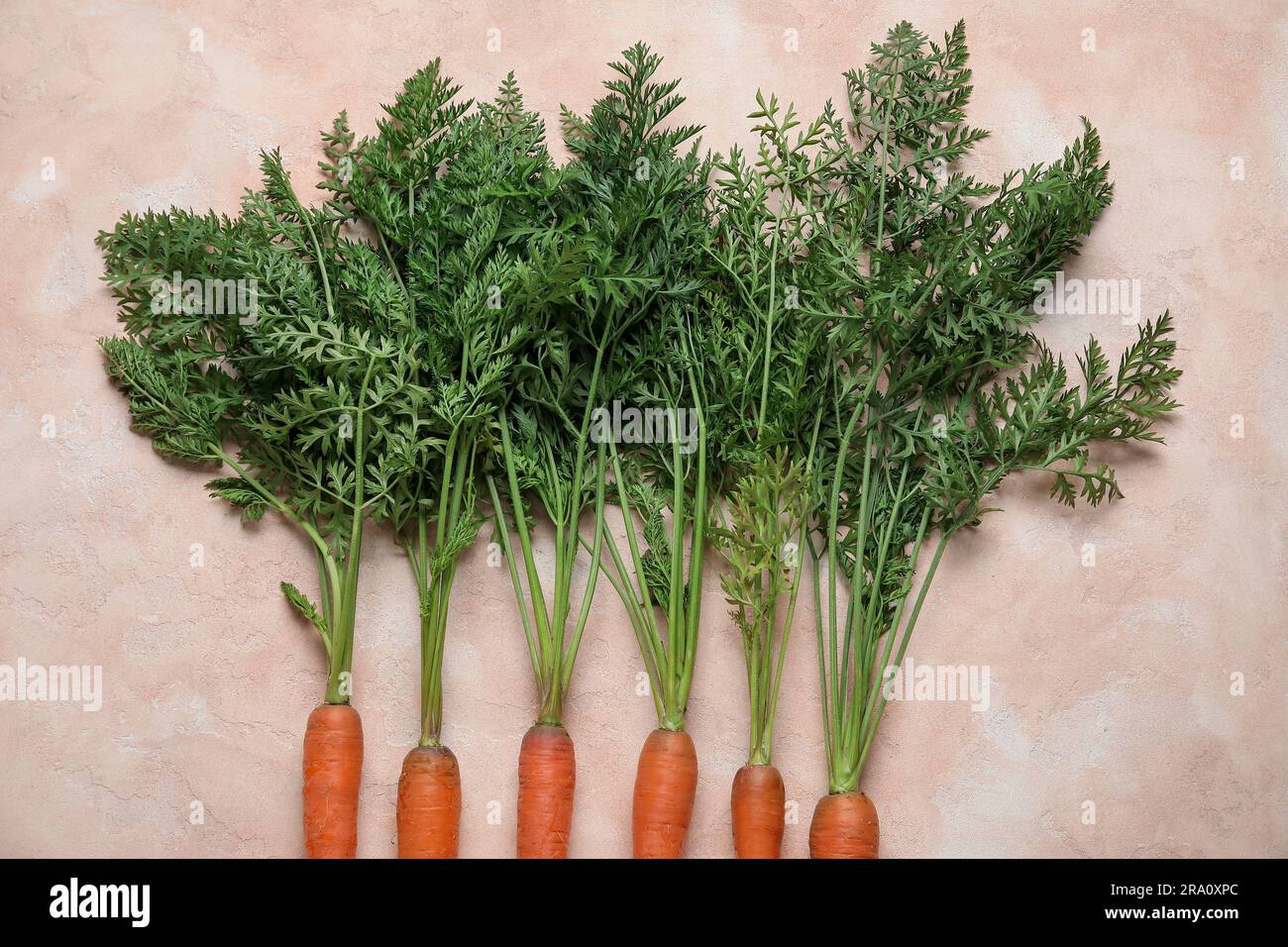 Fresh carrots with leaves on beige background Stock Photo - Alamy
