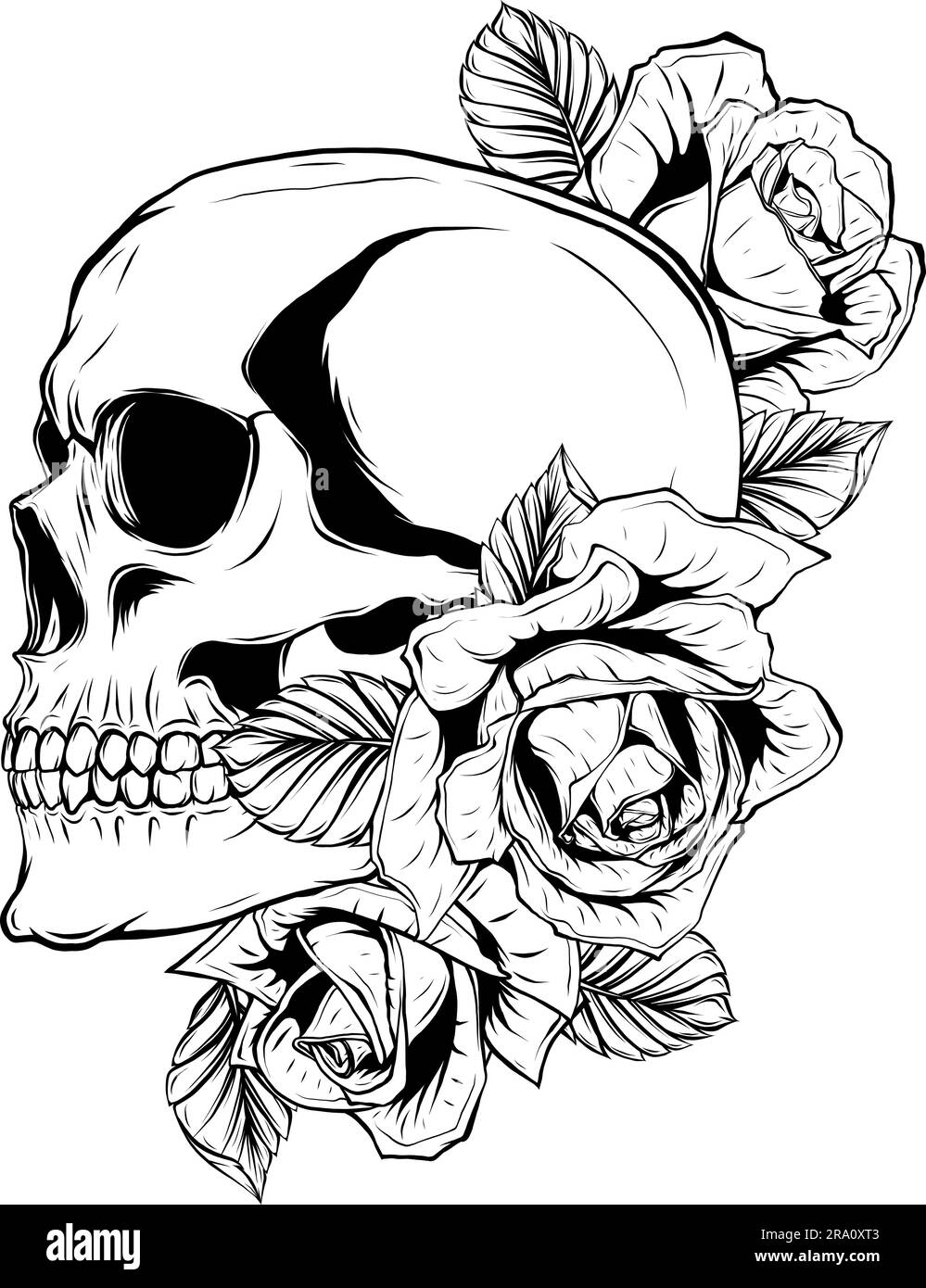 vector illustration of outline human skull design Stock Vector Image ...