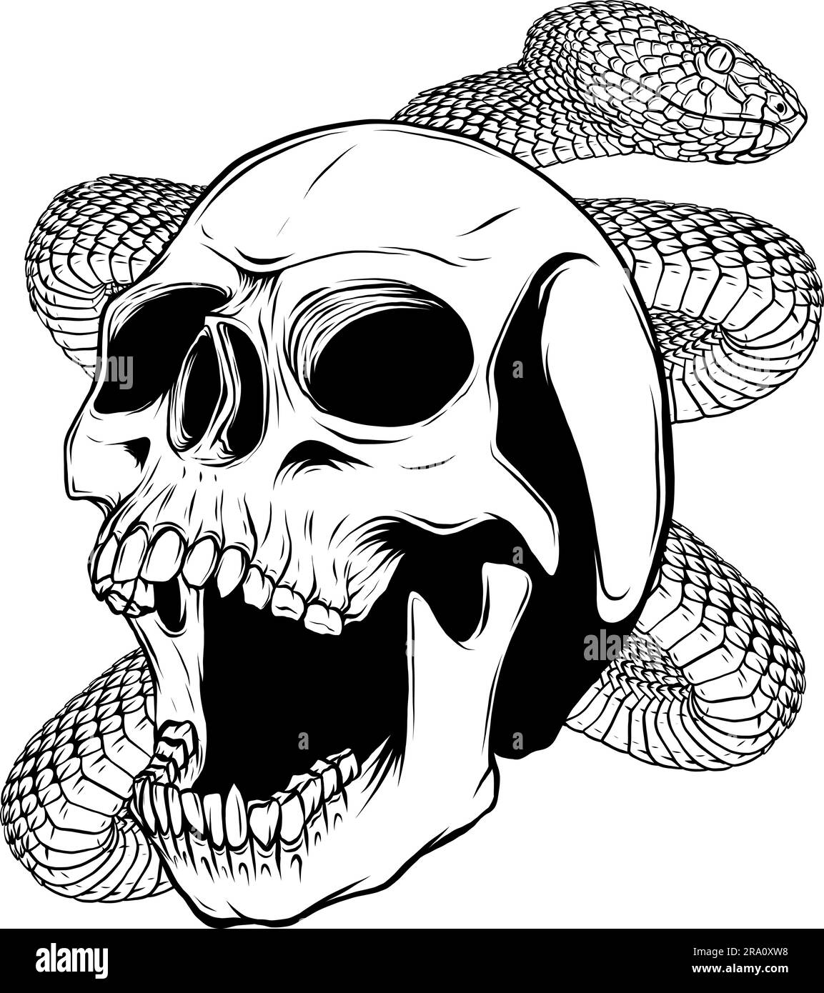 vector illustration of outline human skull design Stock Vector Image ...