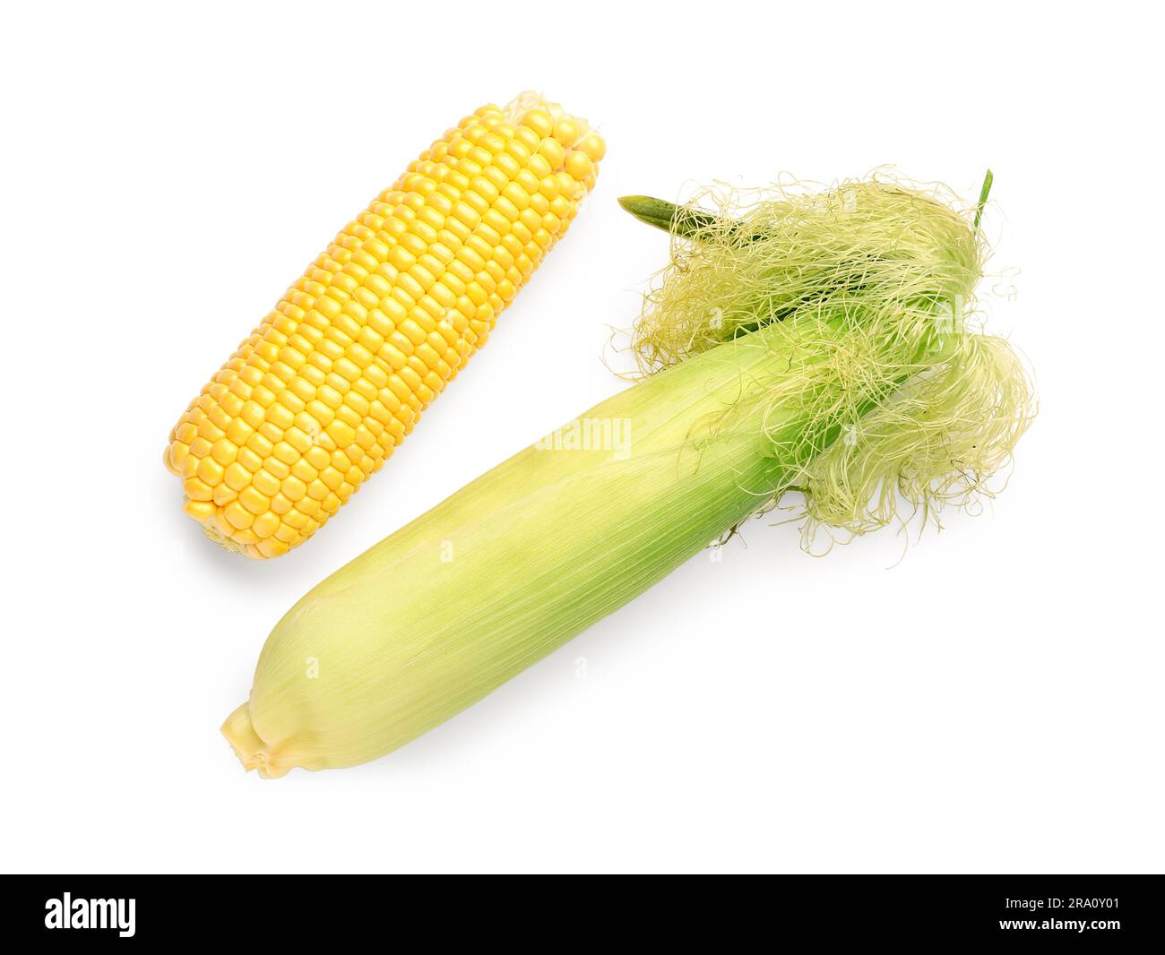 Fresh corn cobs on white background Stock Photo - Alamy