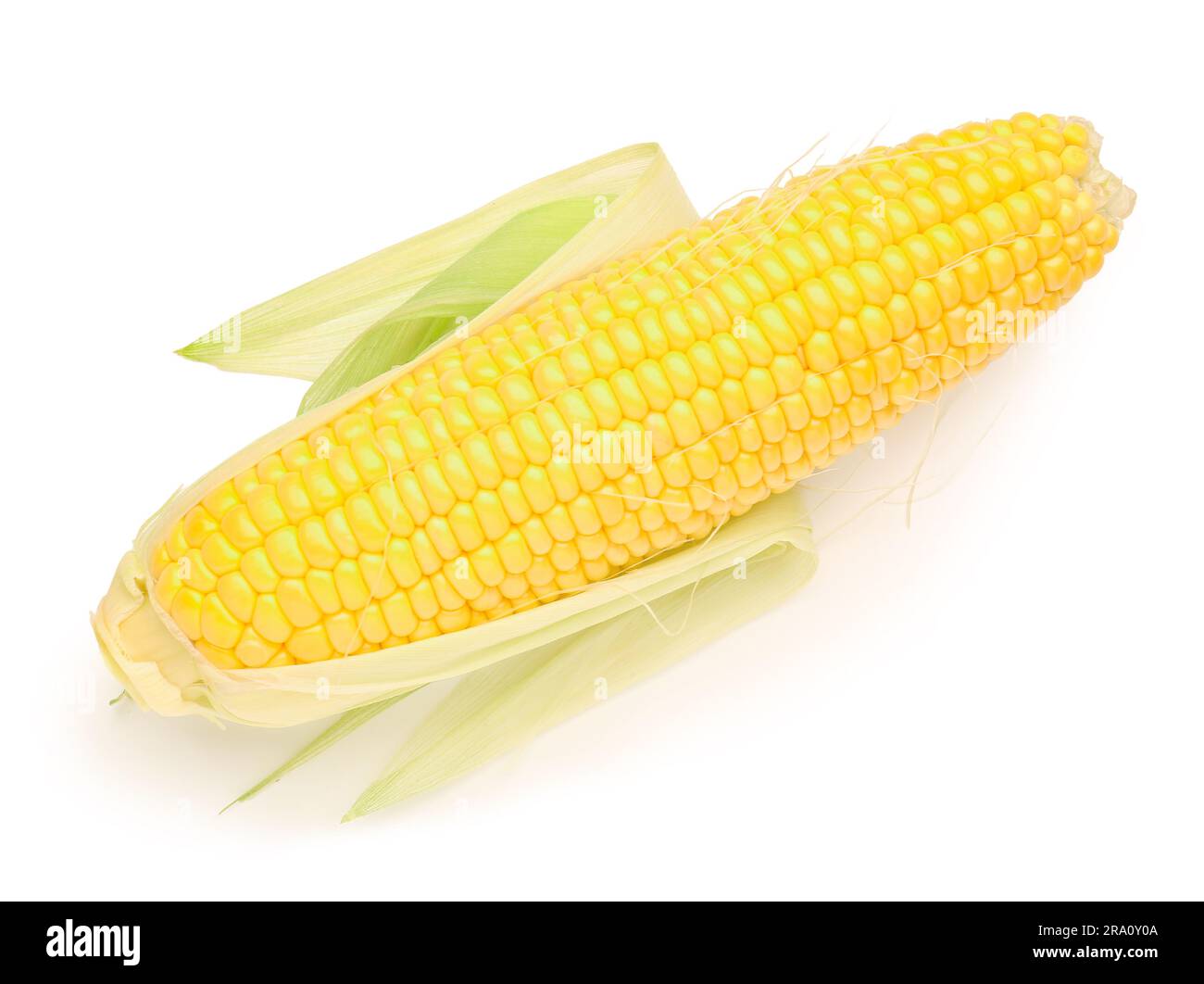 Fresh corn cob on white background Stock Photo - Alamy
