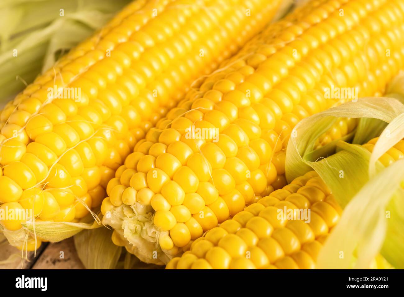 Texture of fresh corn cobs as background Stock Photo - Alamy