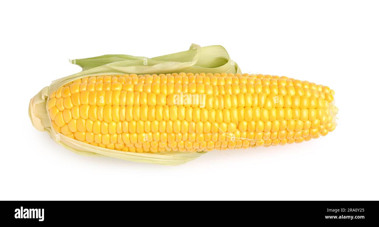 Fresh corn cob on white background Stock Photo - Alamy