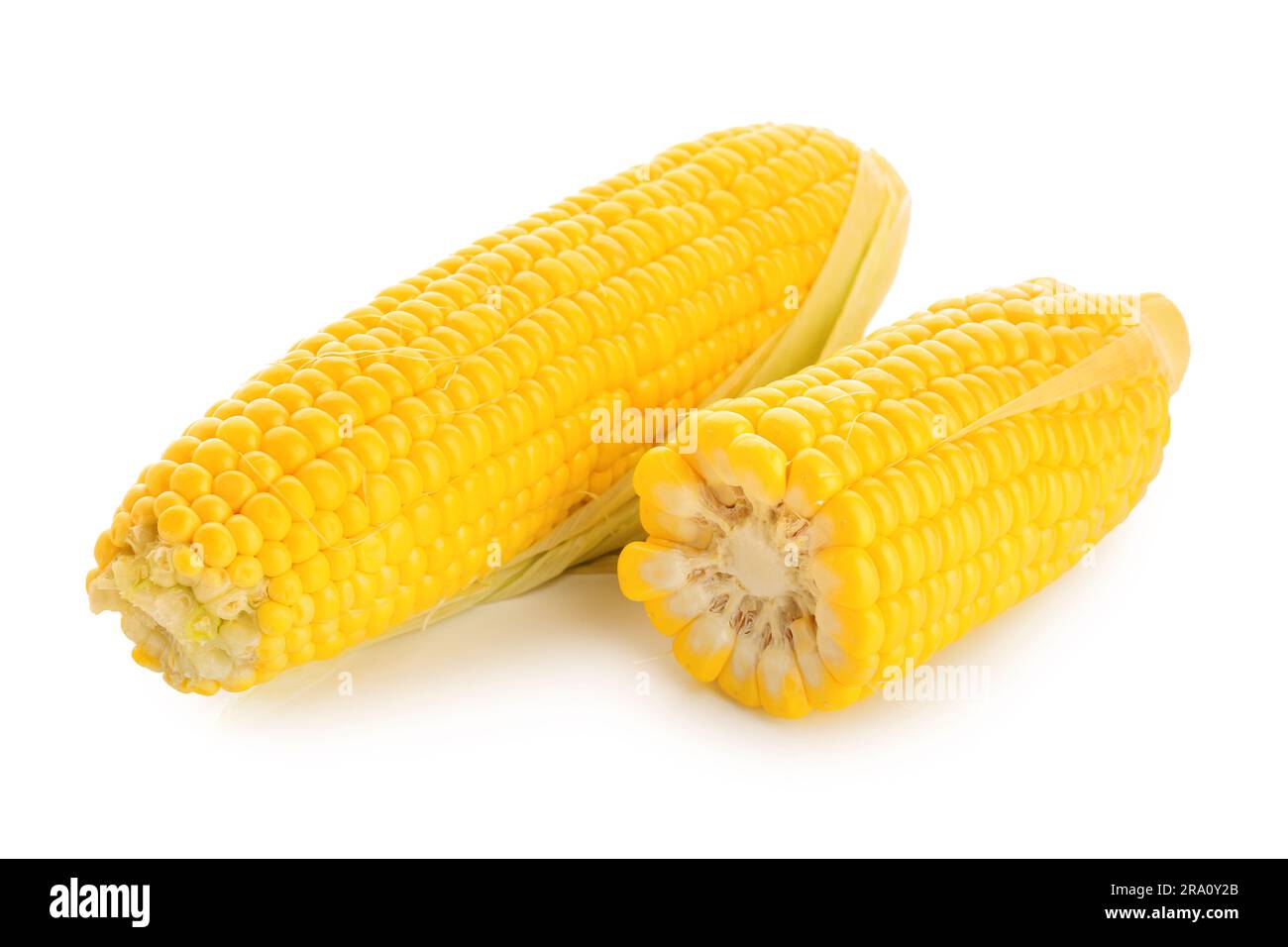 Fresh corn cobs on white background Stock Photo - Alamy