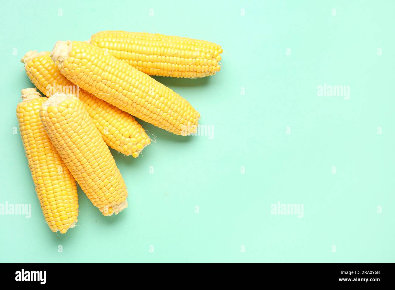 Fresh corn cobs on turquoise background Stock Photo - Alamy