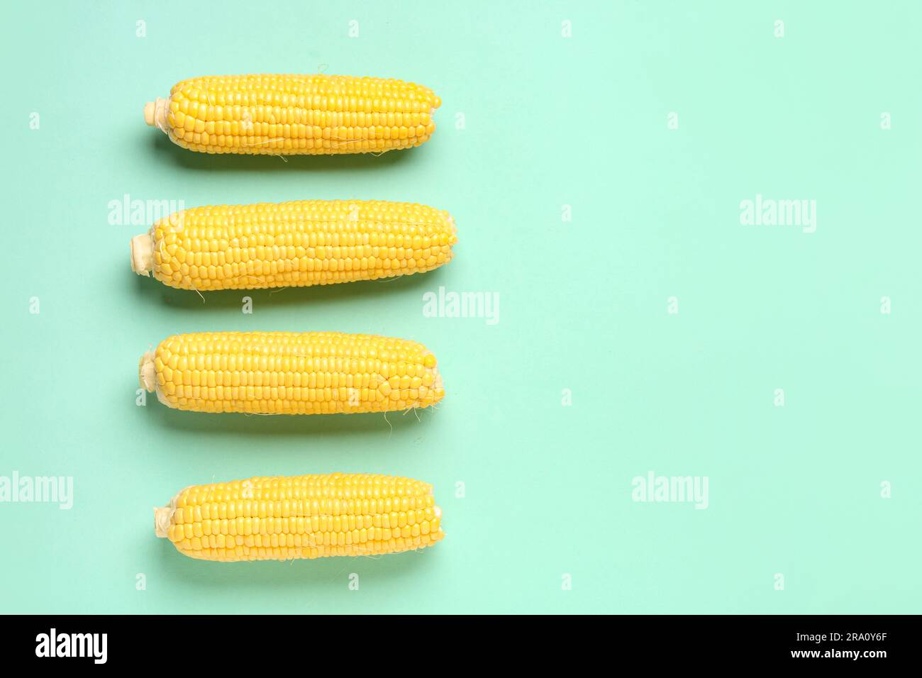 Fresh corn cobs on turquoise background Stock Photo - Alamy