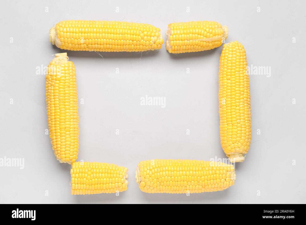 Frame made of fresh corn cobs on grey background Stock Photo - Alamy