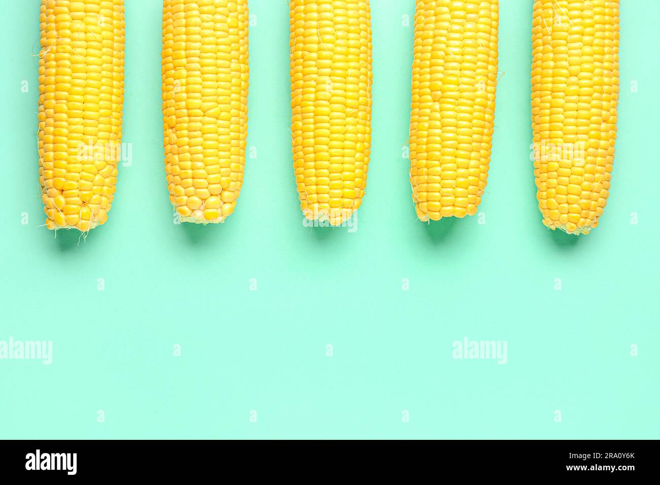 Fresh corn cobs on turquoise background Stock Photo - Alamy