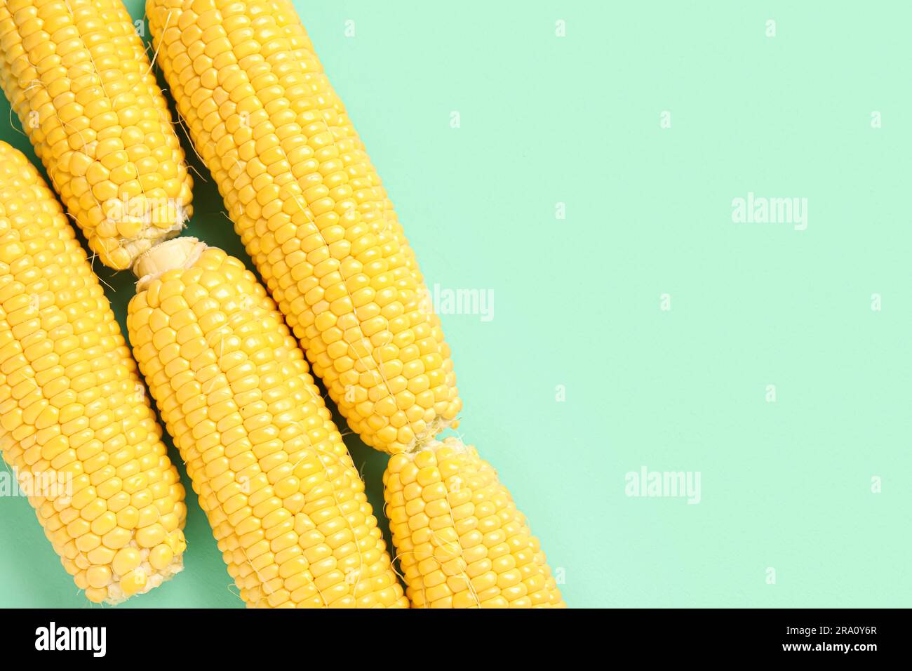 Fresh corn cobs on turquoise background Stock Photo - Alamy