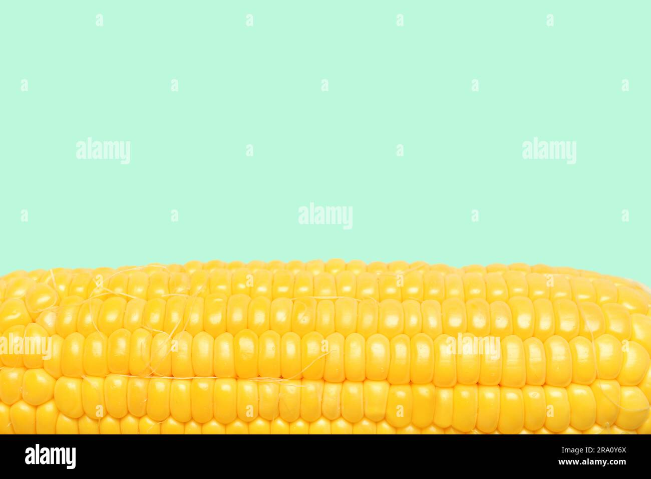 Fresh corn cob on turquoise background Stock Photo - Alamy