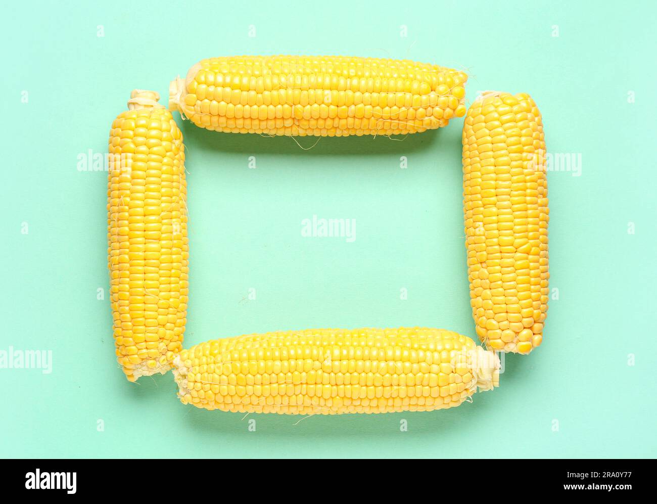 Frame made of fresh corn cobs on turquoise background Stock Photo - Alamy