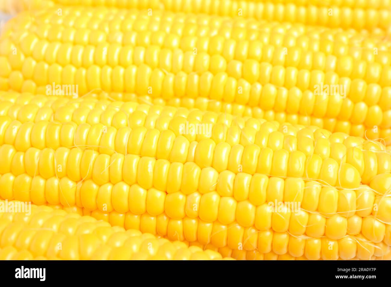 Texture of fresh corn cobs as background Stock Photo - Alamy