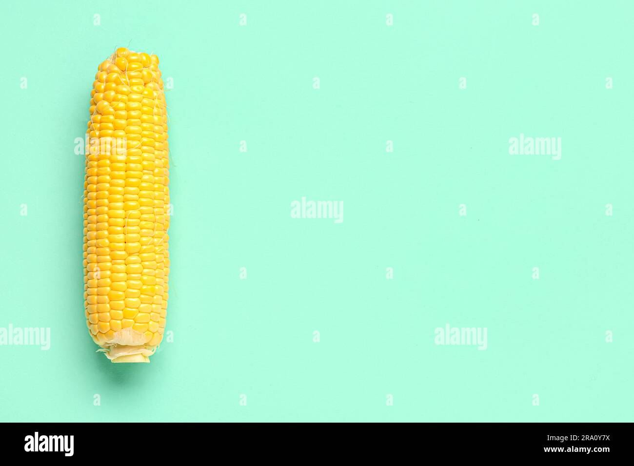 Fresh corn cob on turquoise background Stock Photo - Alamy