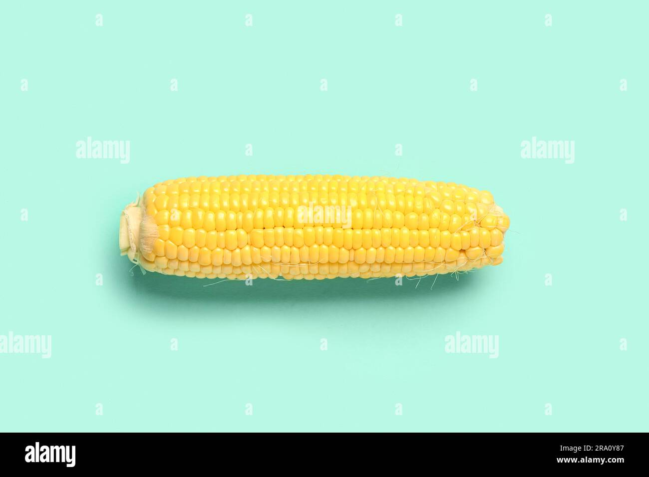 Fresh corn cob on turquoise background Stock Photo - Alamy
