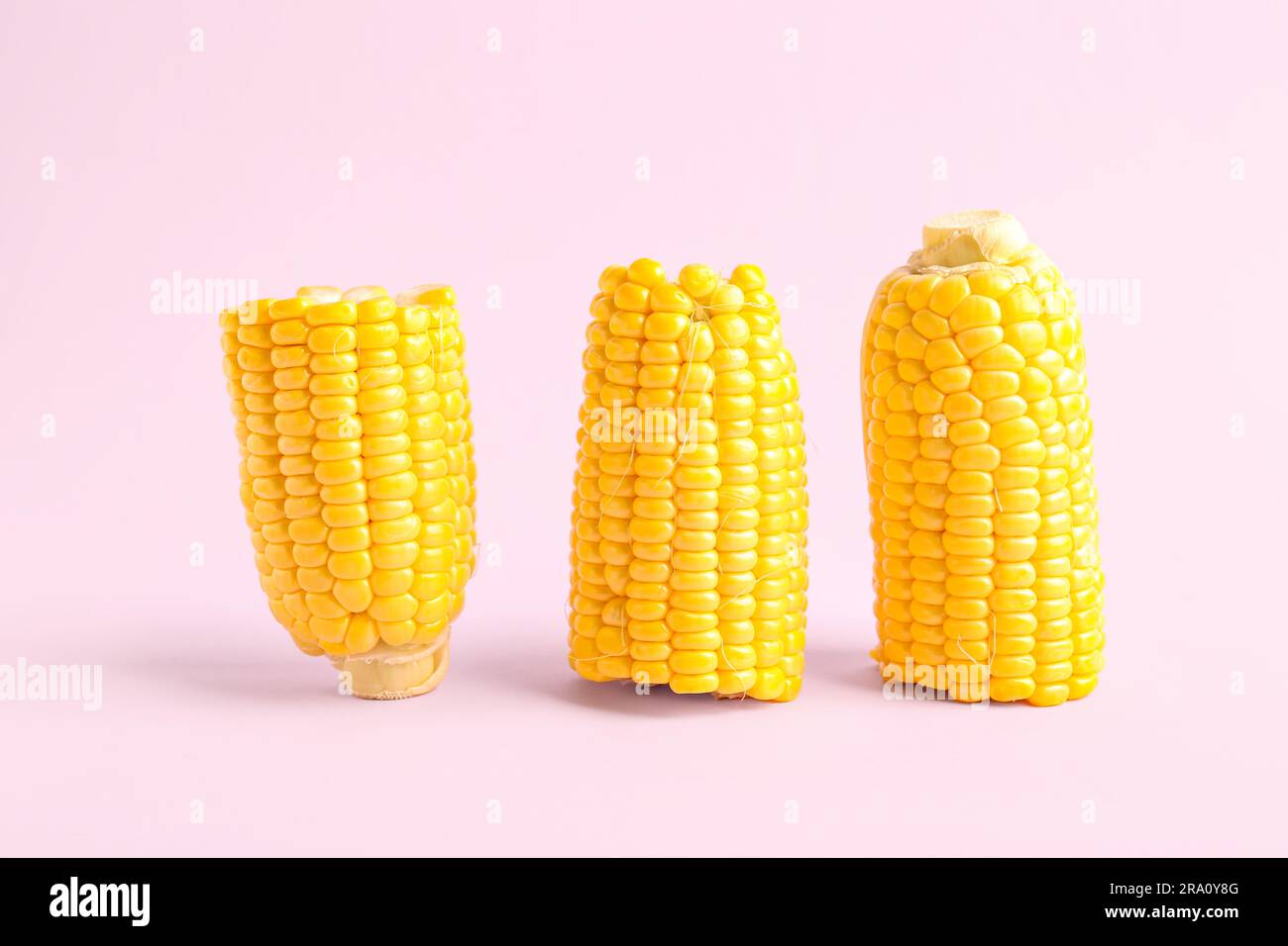 Cut fresh corn cobs on pink background Stock Photo - Alamy