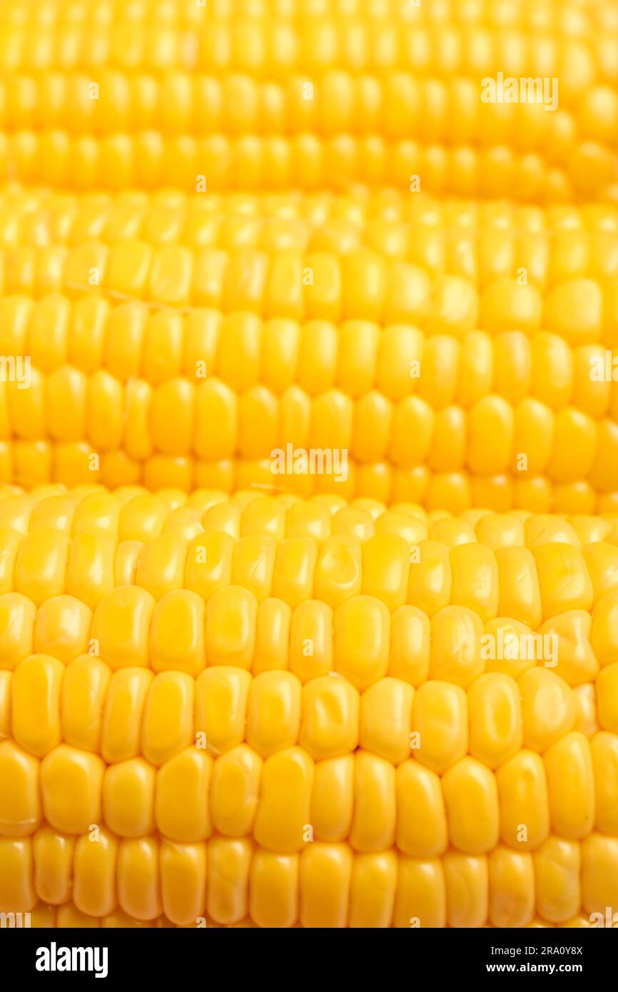 Texture of fresh corn cobs as background Stock Photo - Alamy