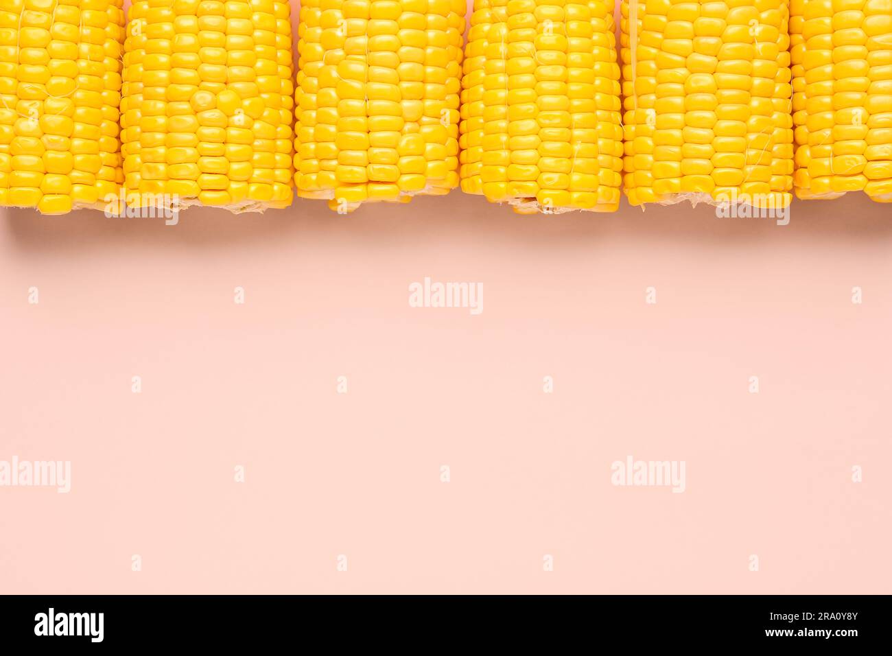 Cut fresh corn cobs on pink background Stock Photo - Alamy