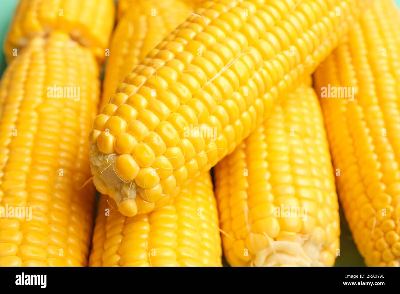 Texture of fresh corn cobs as background Stock Photo - Alamy