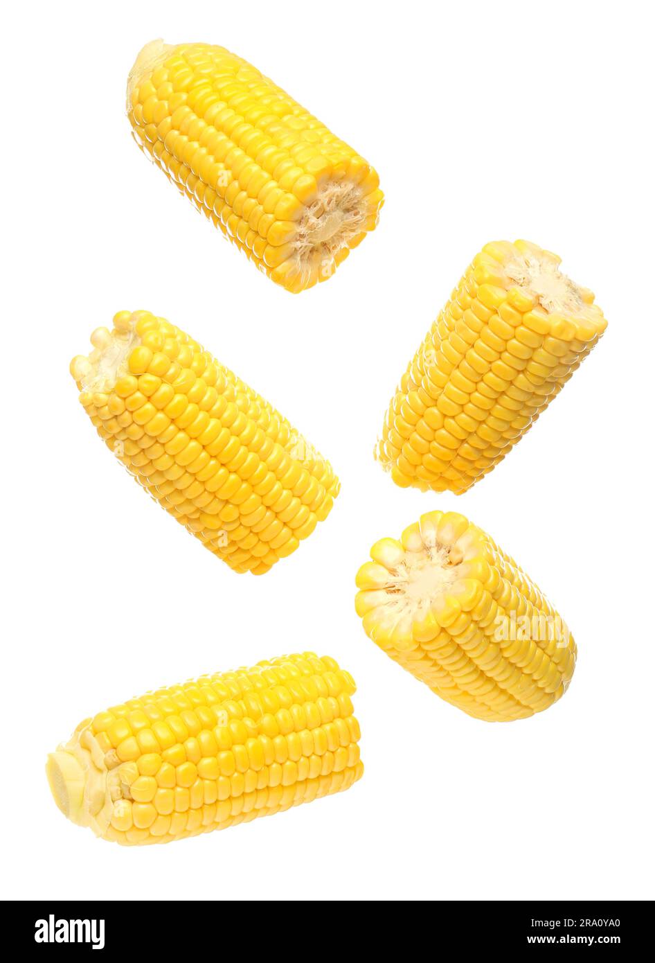Cut fresh corn cobs on white background Stock Photo - Alamy