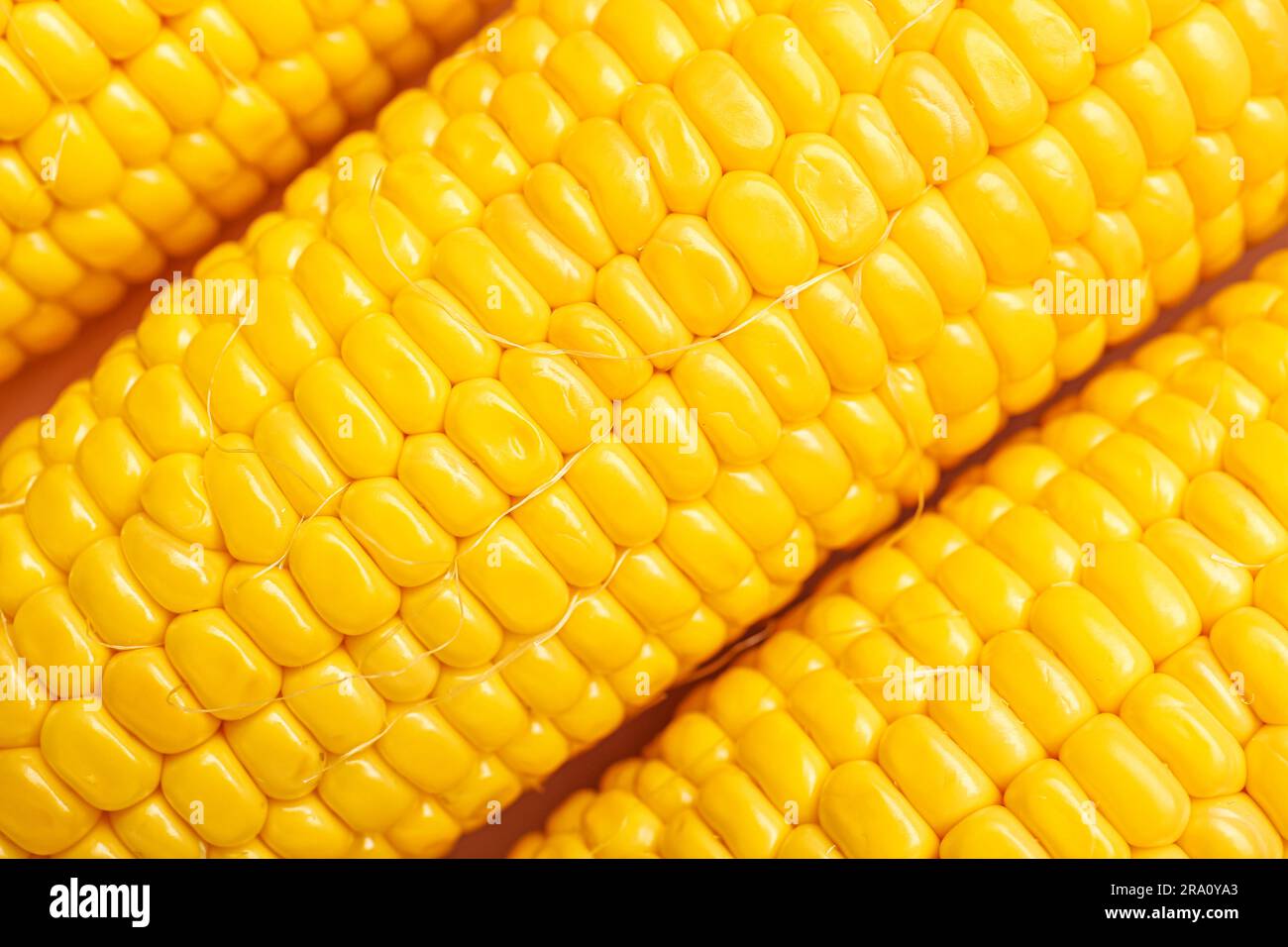 Texture of fresh corn cobs as background Stock Photo - Alamy