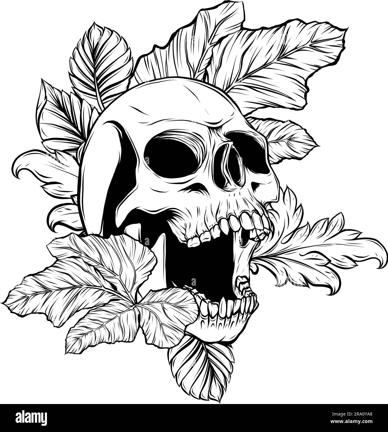 vector illustration of outline human skull design Stock Vector Image ...