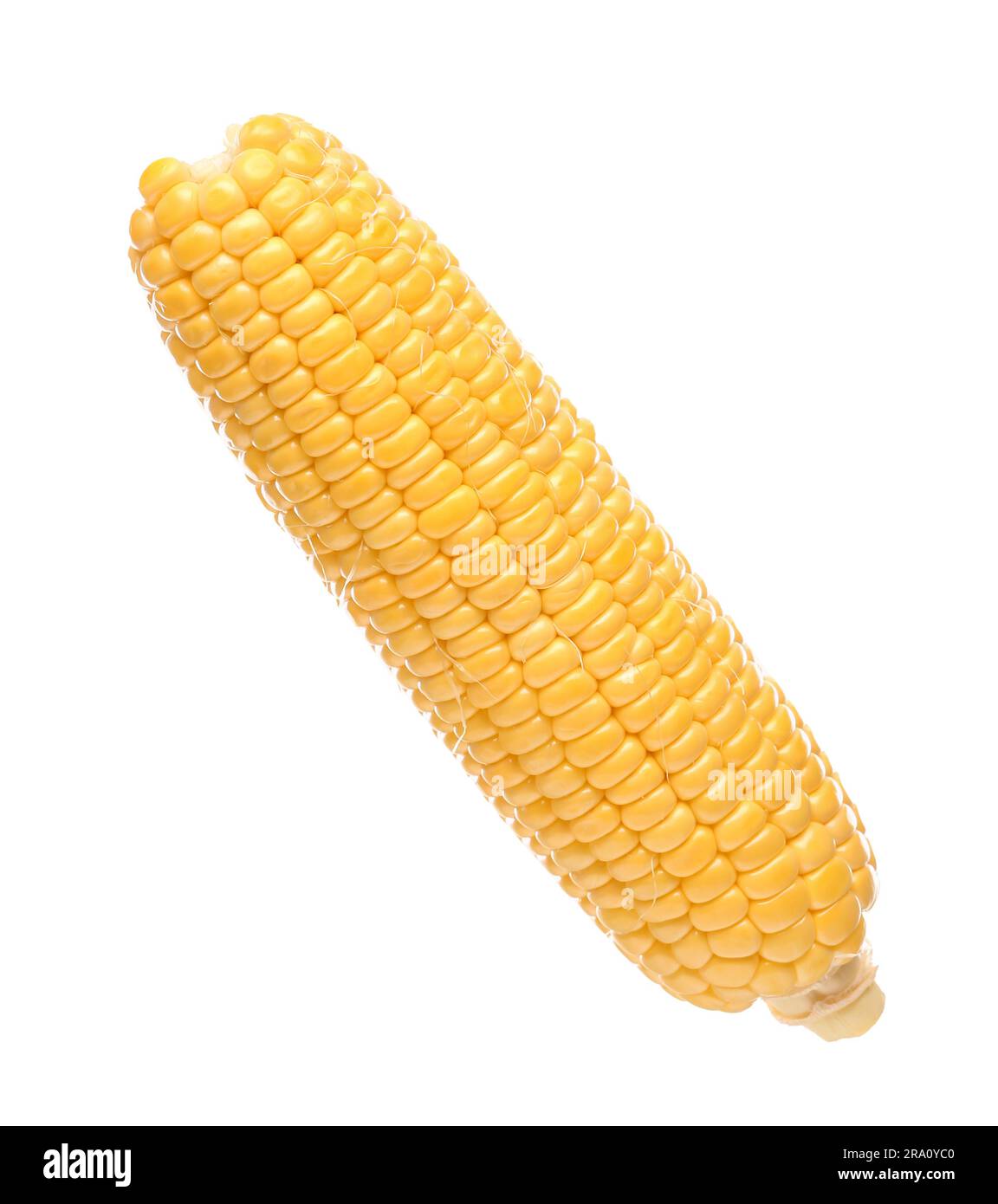 Fresh corn cob on white background Stock Photo - Alamy