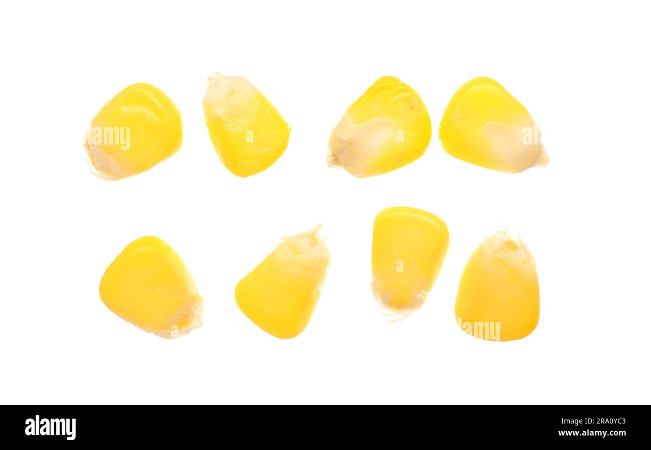 Fresh corn seeds on white background Stock Photo - Alamy
