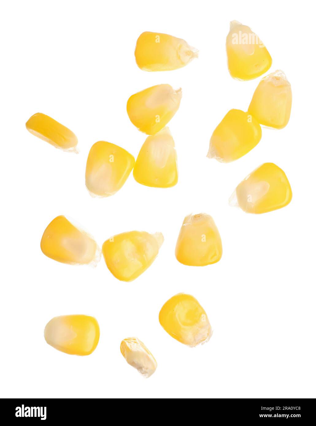 Fresh corn seeds on white background Stock Photo - Alamy