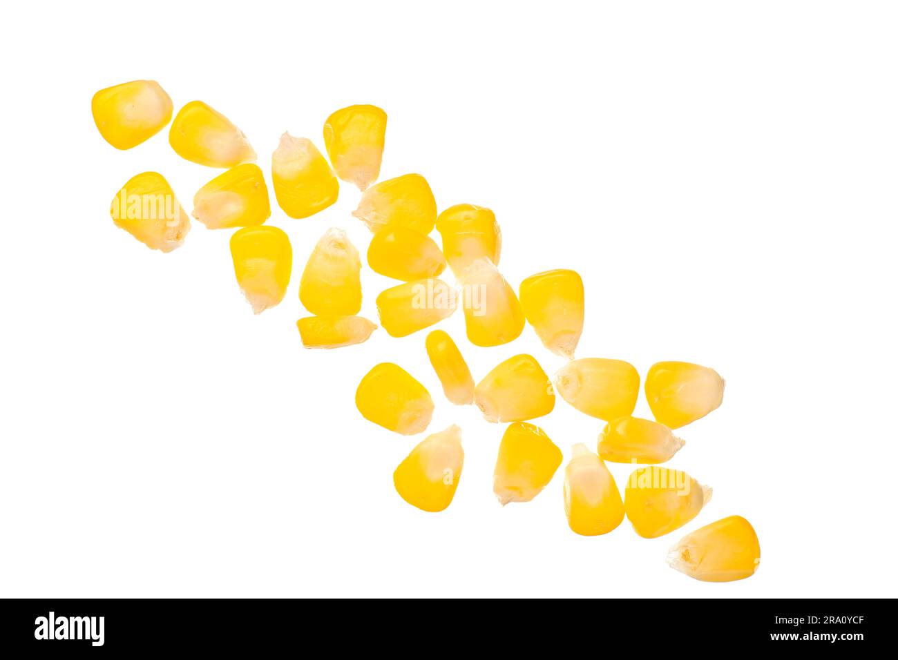 Fresh corn seeds on white background Stock Photo - Alamy