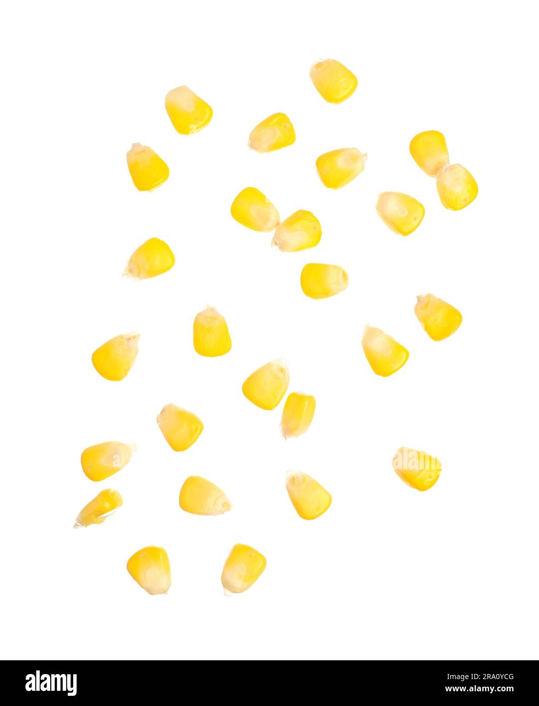 Fresh corn seeds on white background Stock Photo - Alamy