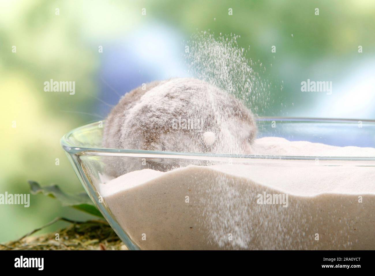 Dust bowl hi-res stock photography and images - Alamy