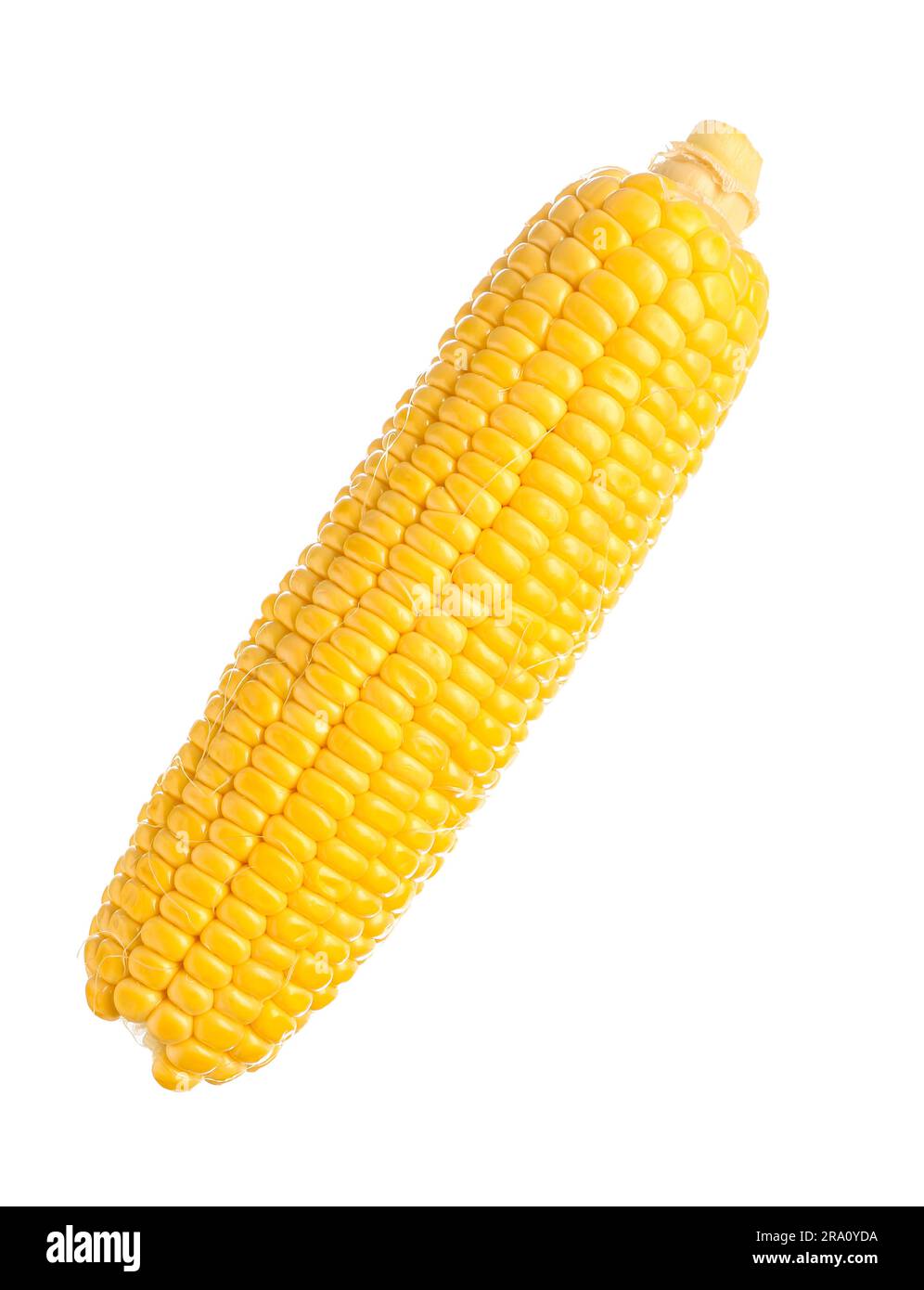 Fresh corn cob on white background Stock Photo - Alamy