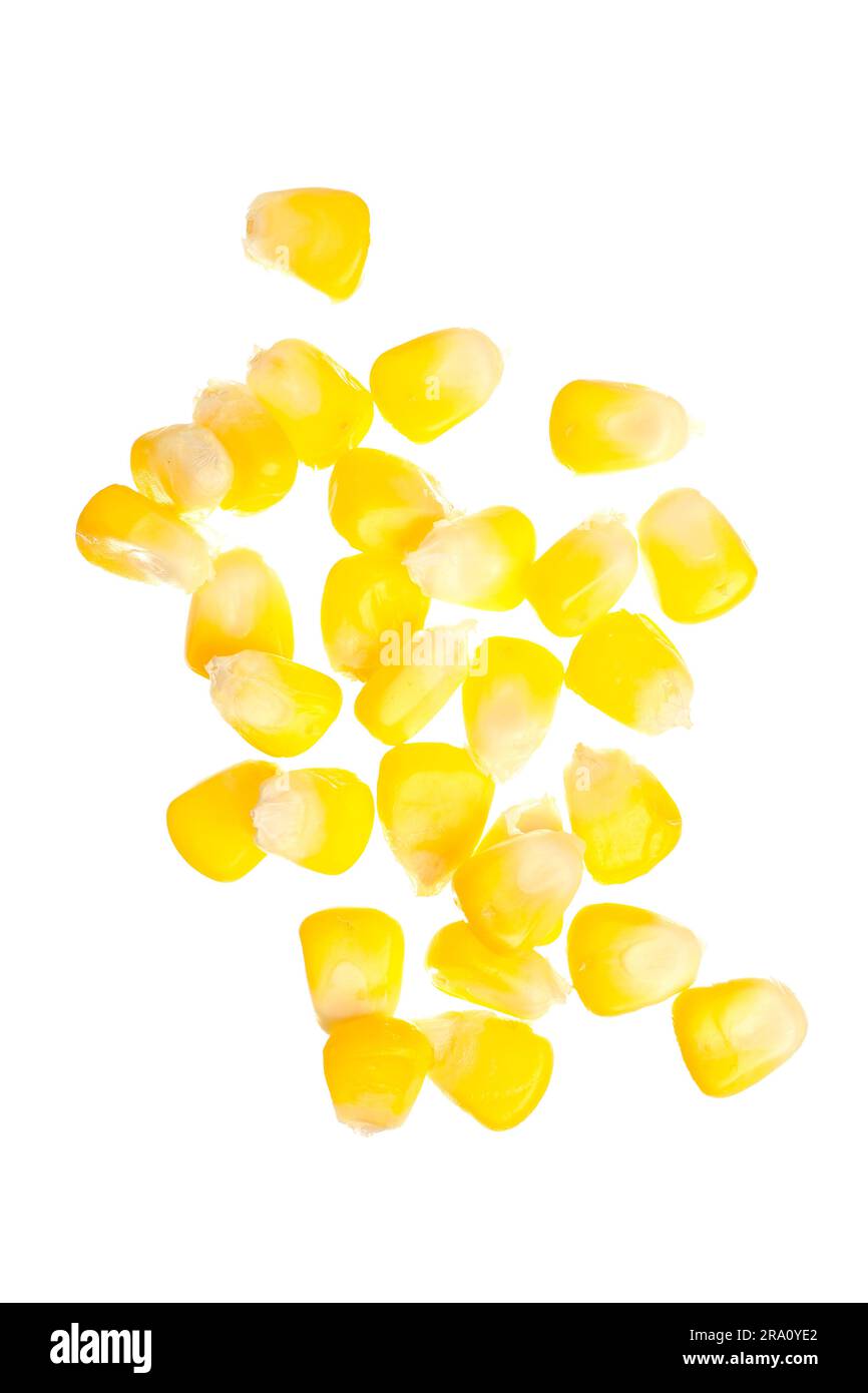 Fresh corn seeds on white background Stock Photo - Alamy