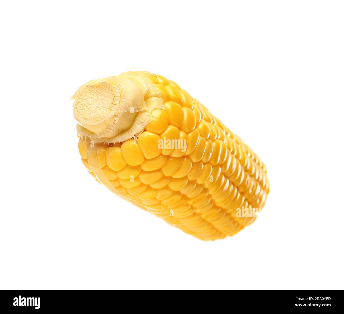 Cut fresh corn cob on white background Stock Photo - Alamy