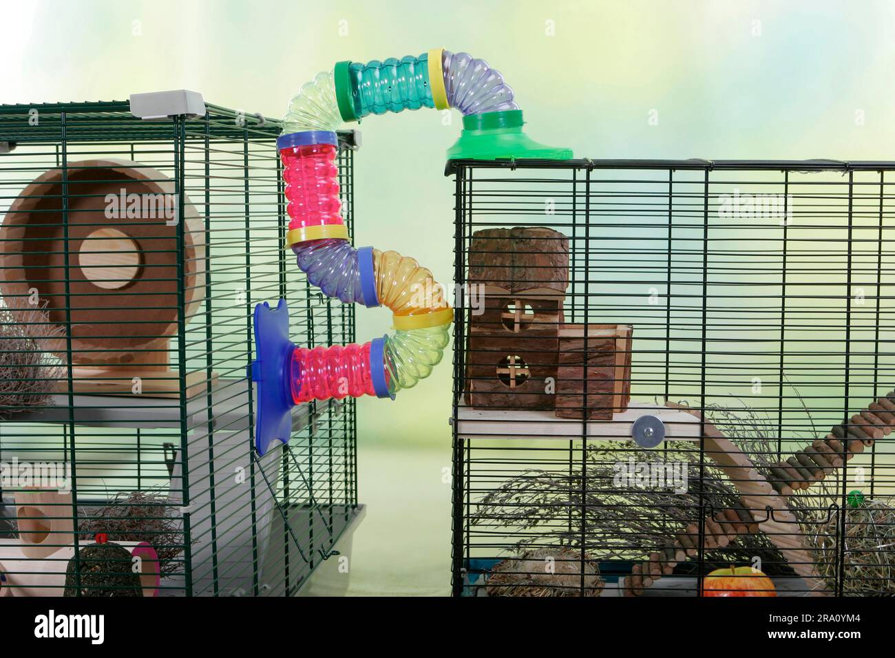 Hamster cages, connected, hamster cage, cage, connection Stock Photo ...