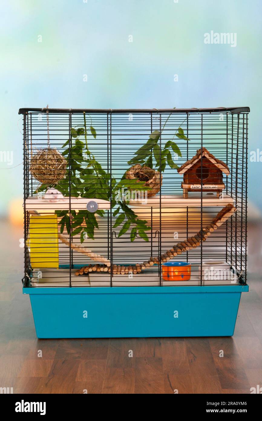 Hamster Cage, Cage Stock Photo - Alamy