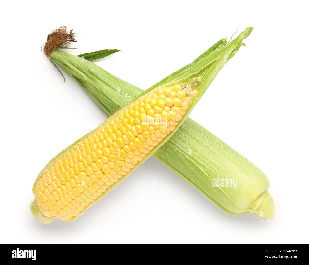 Fresh corn cobs on white background Stock Photo - Alamy