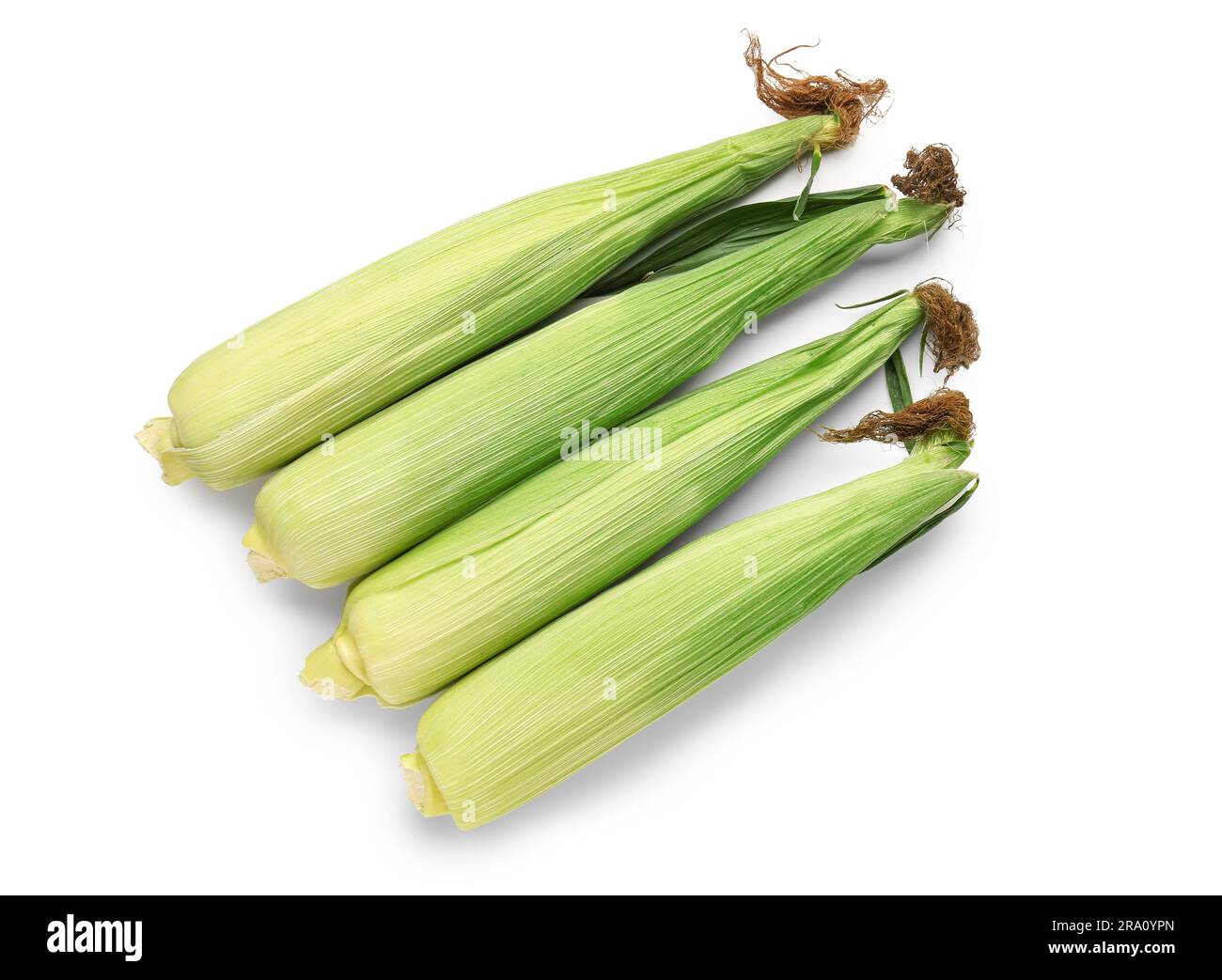 Fresh corn cobs on white background Stock Photo - Alamy