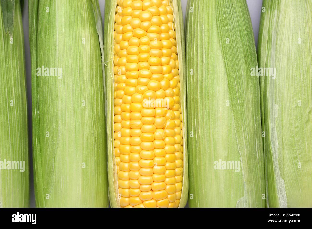 Texture of fresh corn cob as background Stock Photo - Alamy