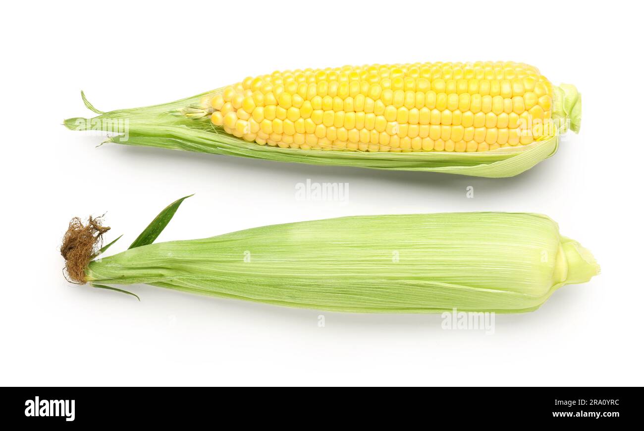 Fresh corn cobs on white background Stock Photo - Alamy