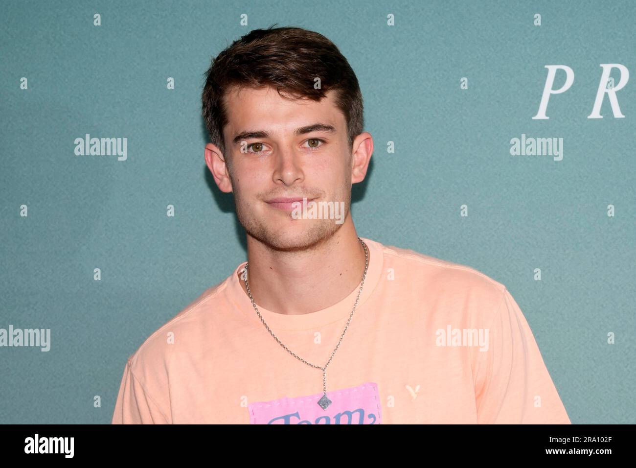 Brian Altemus attends Prime's "The Summer I Turned Pretty" and Teen ...