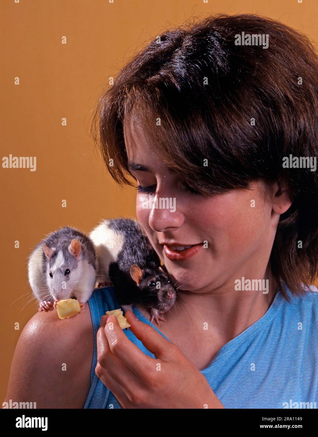 Girl rat on shoulder hi-res stock photography and images - Alamy