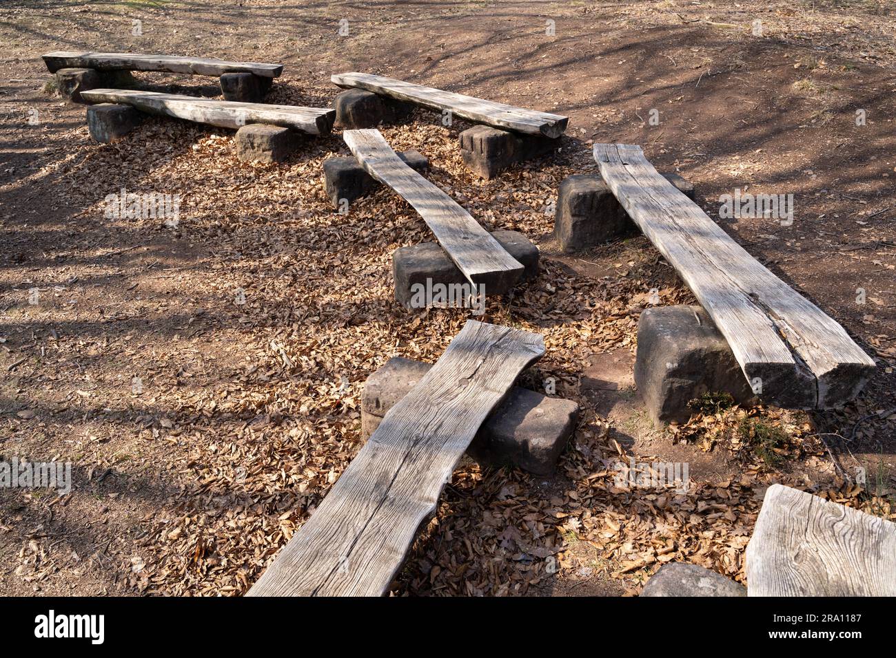 Benches from halved logs in the forest Stock Photo - Alamy