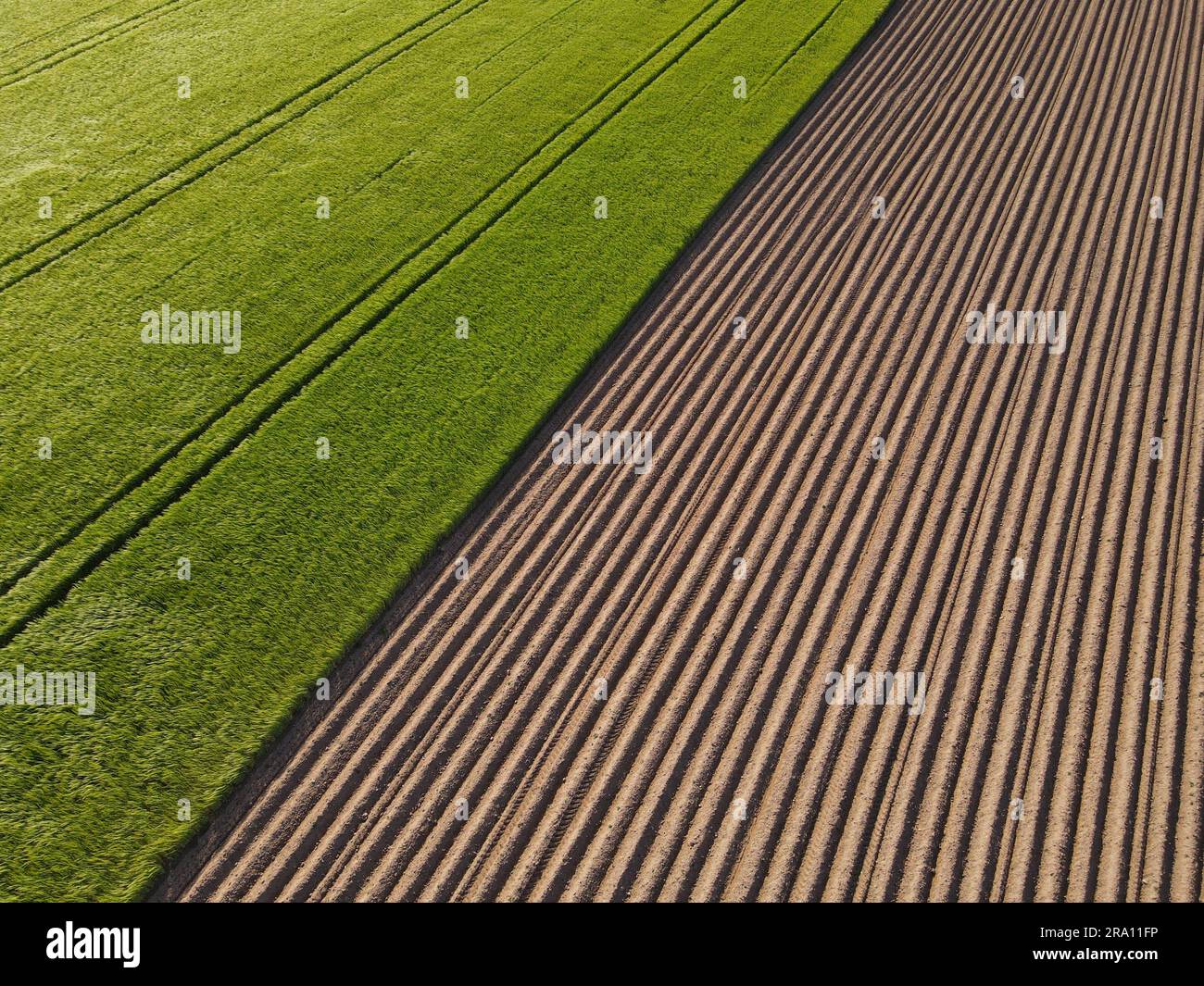 Aerial view of green growing crop and a plowed field with soil in ...