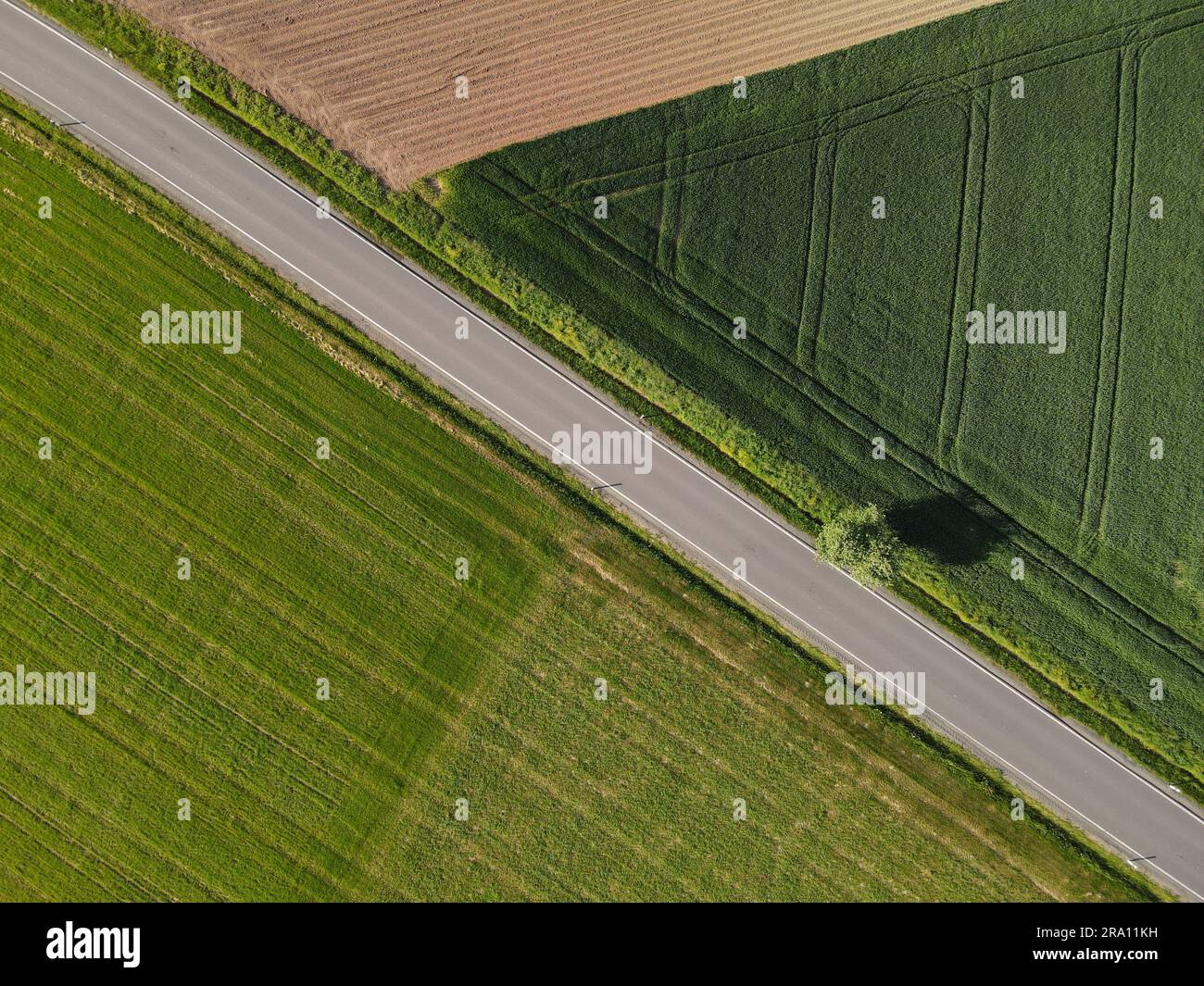 View from above of a asphalt road between green crop fields on a sunny ...