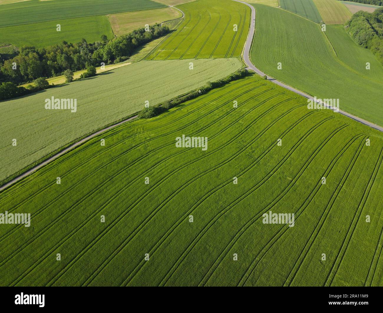 Aerial view of many green growing agriculture fields with wheat, barley ...