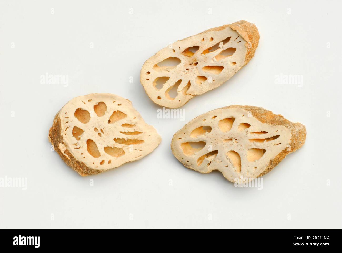 Indian Lotus (Nelumbo nucifera) sliced root, dried, Indian lotus flower ...